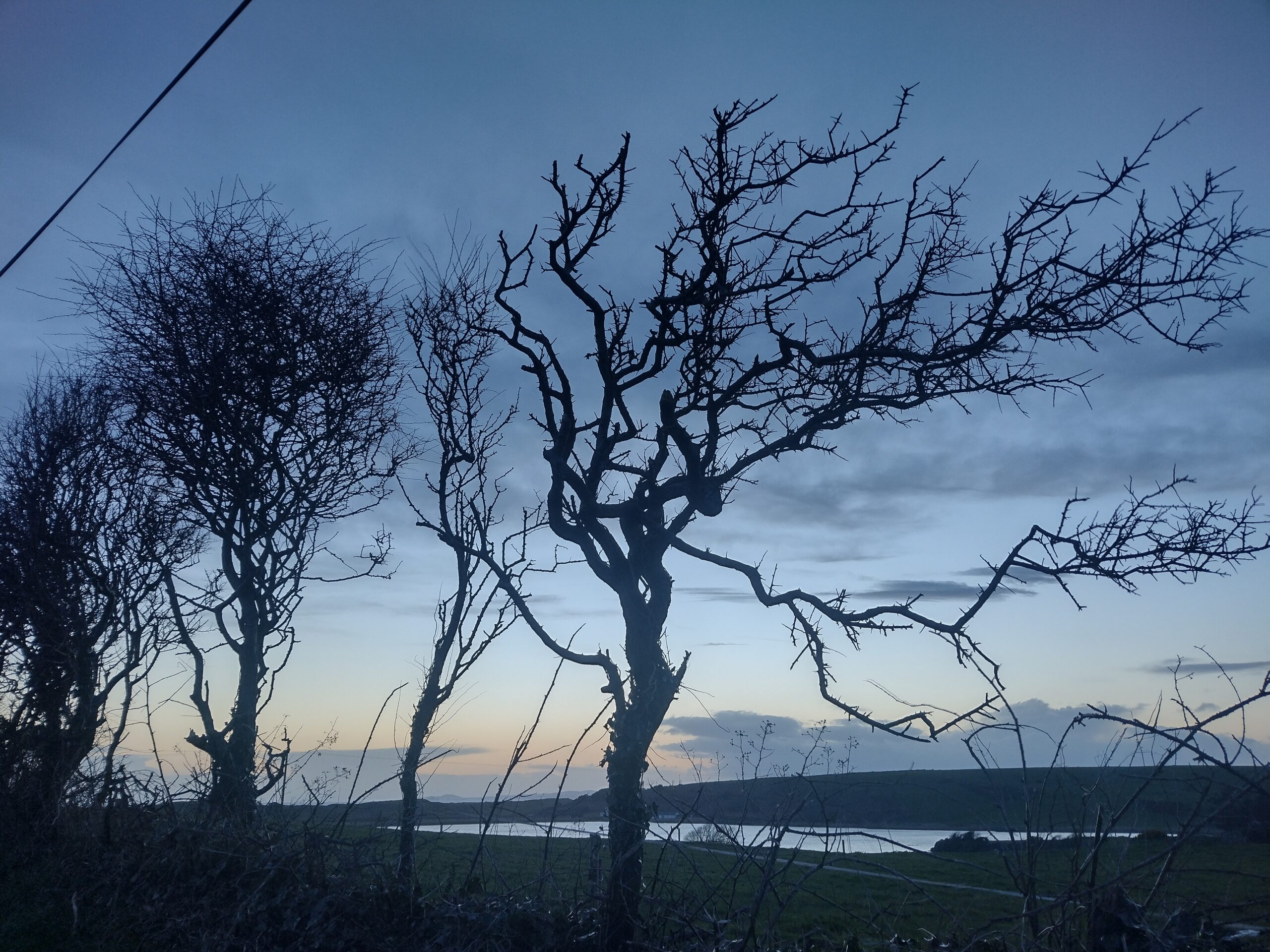 Deepening into Winter - CLAIRE MARIE BARTON
